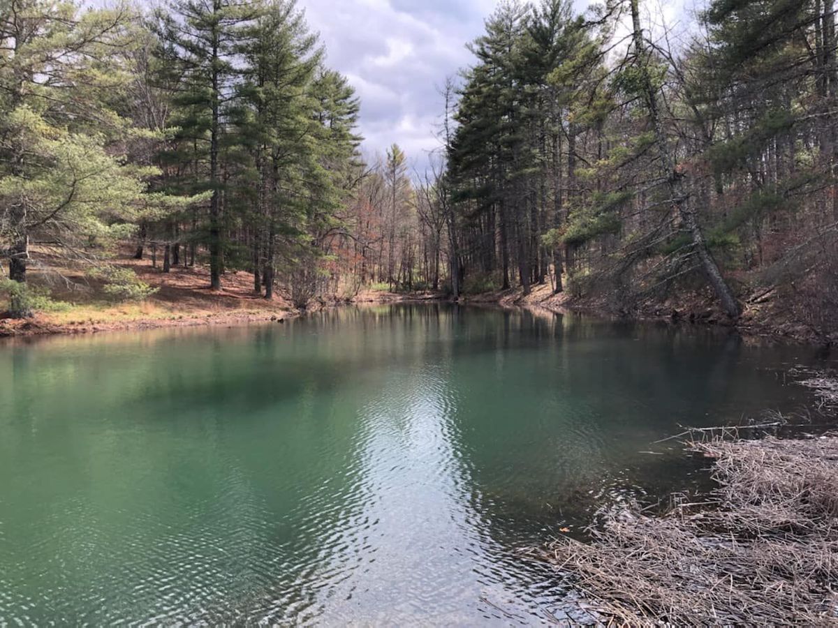 The ultimate adventure: Hunting outfitters of West Virginia